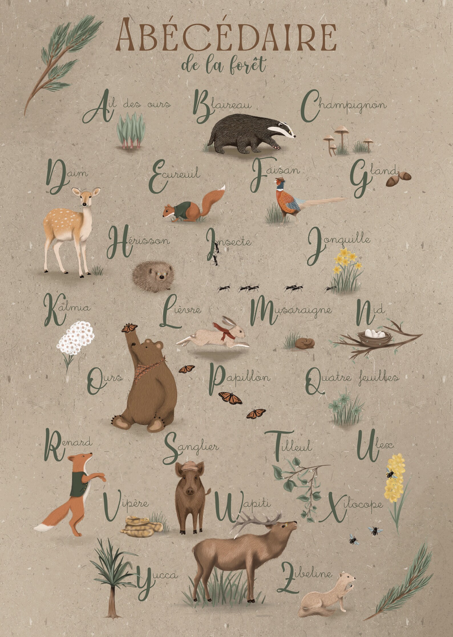 Affiche « Abécédaire de la forêt » – Pauline Chardonnet